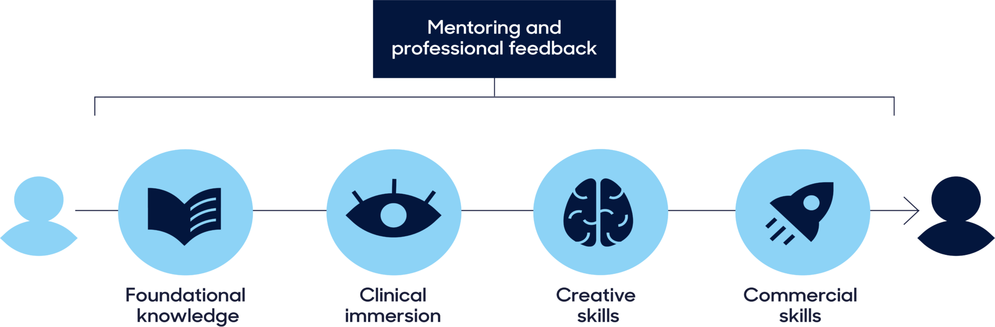 Programme structure – BioMedical Design